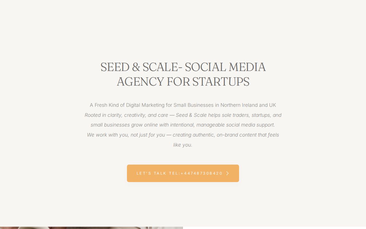Seed & Scale | Expert Social Media Marketing Support for Small ...